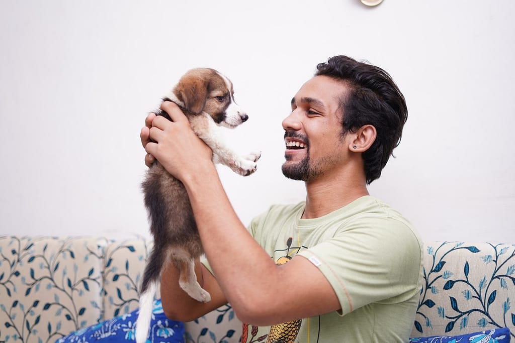 5 Tips for Successfully Training Your New Puppy